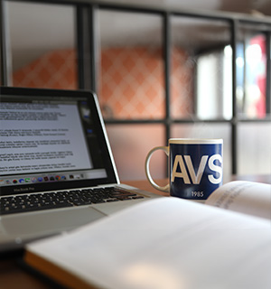 About the Company - AVS